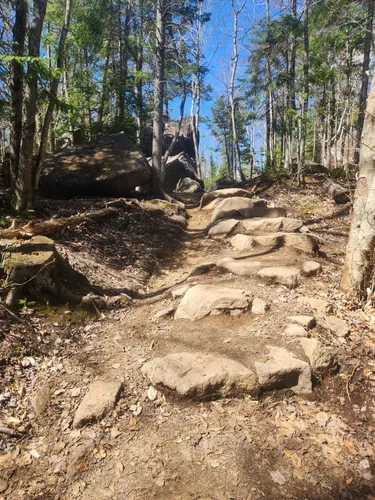 Best Long Trails in Parc régional de Val-David-Val-Morin | AllTrails