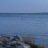 Crescent Beach Path, British Columbia, Canada - 259 Reviews, Map ...