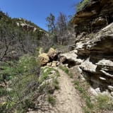 Spruce Canyon Trail, Colorado - 373 Reviews, Map | AllTrails