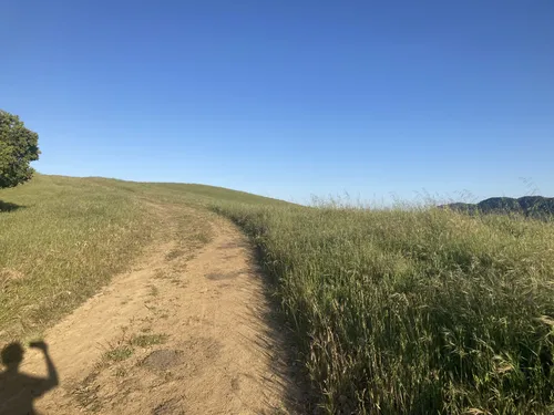 Best Hard Trails in Pleasanton Ridge Regional Park | AllTrails