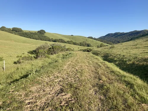Best Hard Trails in Pleasanton Ridge Regional Park | AllTrails