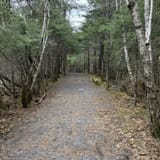 Tonsina Creek Trail, Alaska - 1,380 Reviews, Map | AllTrails