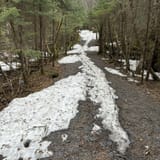 Tonsina Creek Trail, Alaska - 1,380 Reviews, Map | AllTrails