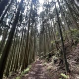 Mount Atago Loop, Kyoto, Japan - 182 Reviews, Map | AllTrails