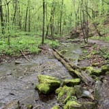 Lost Canyon Trail, Wisconsin - 922 Reviews, Map | AllTrails