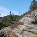 Mount Morgan and Mount Percival Loop, New Hampshire - 3,588 Reviews ...