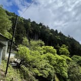 Mount Atago Loop, Kyoto, Japan - 182 Reviews, Map | AllTrails
