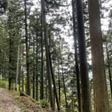 Mount Atago Loop, Kyoto, Japan - 182 Reviews, Map | AllTrails