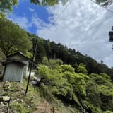 Mount Atago Loop, Kyoto, Japan - 182 Reviews, Map | AllTrails