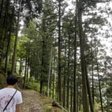 Mount Atago Loop, Kyoto, Japan - 182 Reviews, Map | AllTrails