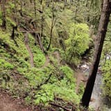 Multnomah Falls Trail, Oregon - 6,904 Reviews, Map | AllTrails