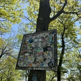 Mount Tammany via Red Dot and Blue Dot Loop Trail, New Jersey - 13,268 ...