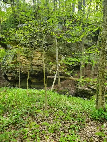 Best Lake Trails in Governor Dodge State Park | AllTrails