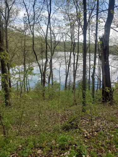 Best Lake Trails in Governor Dodge State Park | AllTrails
