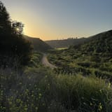 Skyline Drive to Beek's Place, California - 2,553 Reviews, Map | AllTrails