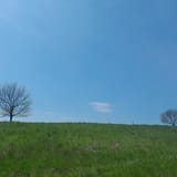 Leaser Lake Trail, Pennsylvania - 662 Reviews, Map | AllTrails