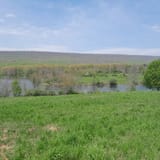 Leaser Lake Trail, Pennsylvania - 662 Reviews, Map | AllTrails