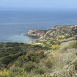 Forrestal Preserve Loop, California - 1,537 Reviews, Map | AllTrails