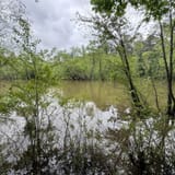 Allatoona Falls Trail via Cherokee County Aquatic Center, Georgia - 95 ...
