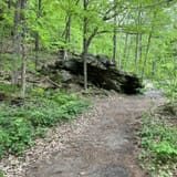 Lost Canyon Trail, Wisconsin - 1,001 Reviews, Map | AllTrails