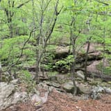 Lost Canyon Trail, Wisconsin - 1,001 Reviews, Map | AllTrails