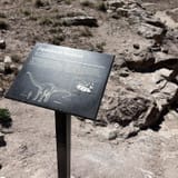 Trail Through Time, Colorado - 328 Reviews, Map | AllTrails