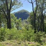 Bull Hill Full Loop, New York - 5,495 Reviews, Map | AllTrails