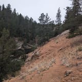 Gill Trail, Colorado - 302 Reviews, Map | AllTrails