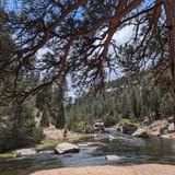 Gill Trail, Colorado - 302 Reviews, Map | AllTrails