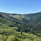 Weldon Wagon Road Trail, Washington - 532 Reviews, Map | AllTrails