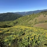 Weldon Wagon Road Trail, Washington - 532 Reviews, Map | AllTrails