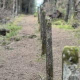 The Drake Stone and Harbottle Castle Circular, Northumberland, England ...