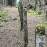 The Drake Stone and Harbottle Castle Circular, Northumberland, England ...