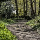 The Drake Stone and Harbottle Castle Circular, Northumberland, England ...