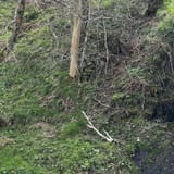 The Drake Stone and Harbottle Castle Circular, Northumberland, England ...