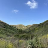 Bane Canyon Short Loop Trail, California - 844 Reviews, Map | AllTrails