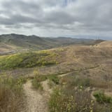 Bane Canyon Short Loop Trail, California - 844 Reviews, Map | AllTrails