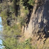 Signal Hill Trail, Arizona - 1,317 Reviews, Map | AllTrails