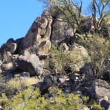Signal Hill Trail, Arizona - 1,317 Reviews, Map | AllTrails