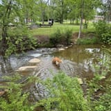 Elk Run, Virginia - 354 Reviews, Map | AllTrails