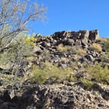 Signal Hill Trail, Arizona - 1,317 Reviews, Map | AllTrails