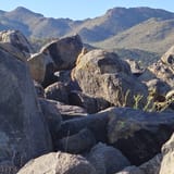 Signal Hill Trail, Arizona - 1,317 Reviews, Map | AllTrails