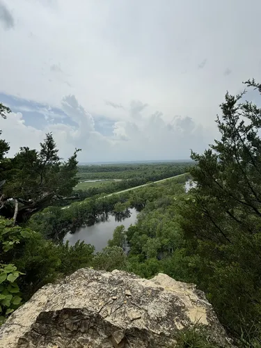 Best Bird Watching Trails in Wolf Lake | AllTrails