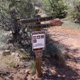 Scorpion Trail Loop, Arizona - 787 Reviews, Map | AllTrails