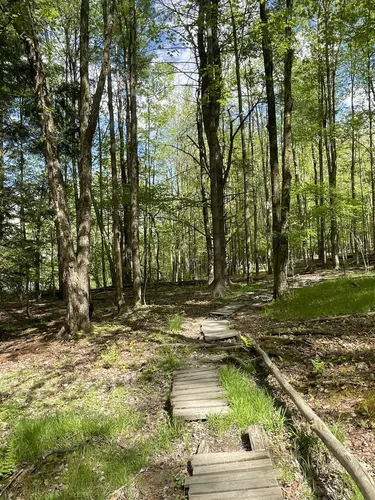 Best Lake Trails in Binghamton | AllTrails