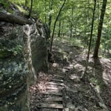 Shaddox Hollow Nature Trail Arkansas 811 Reviews Map Alltrails