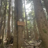 Mount Fromme via St. Georges Trail, British Columbia, Canada - 1,264 ...