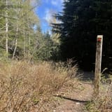 Mount Fromme via St. Georges Trail, British Columbia, Canada - 1,264 ...