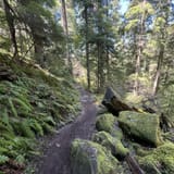 Watson Falls, Oregon - 1,106 Reviews, Map | AllTrails