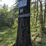 Weldon Wagon Road Trail, Washington - 532 Reviews, Map | AllTrails